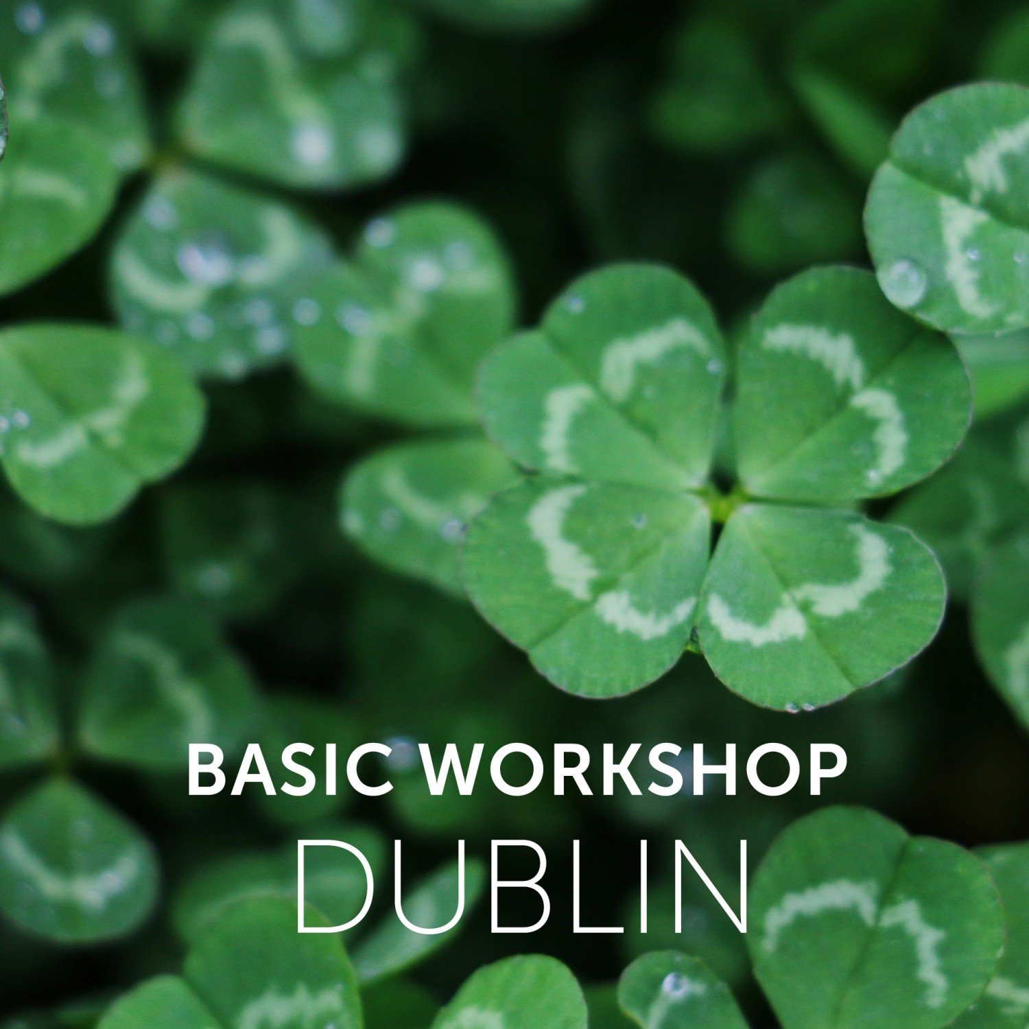 Sharon Lock PSYCH-K®Instructor | Workshops | Sharon Lock – PSYCH-K ...