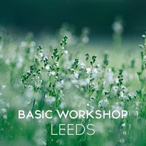 basicworkshopleeds | Sharon Lock – PSYCH-K Instructor