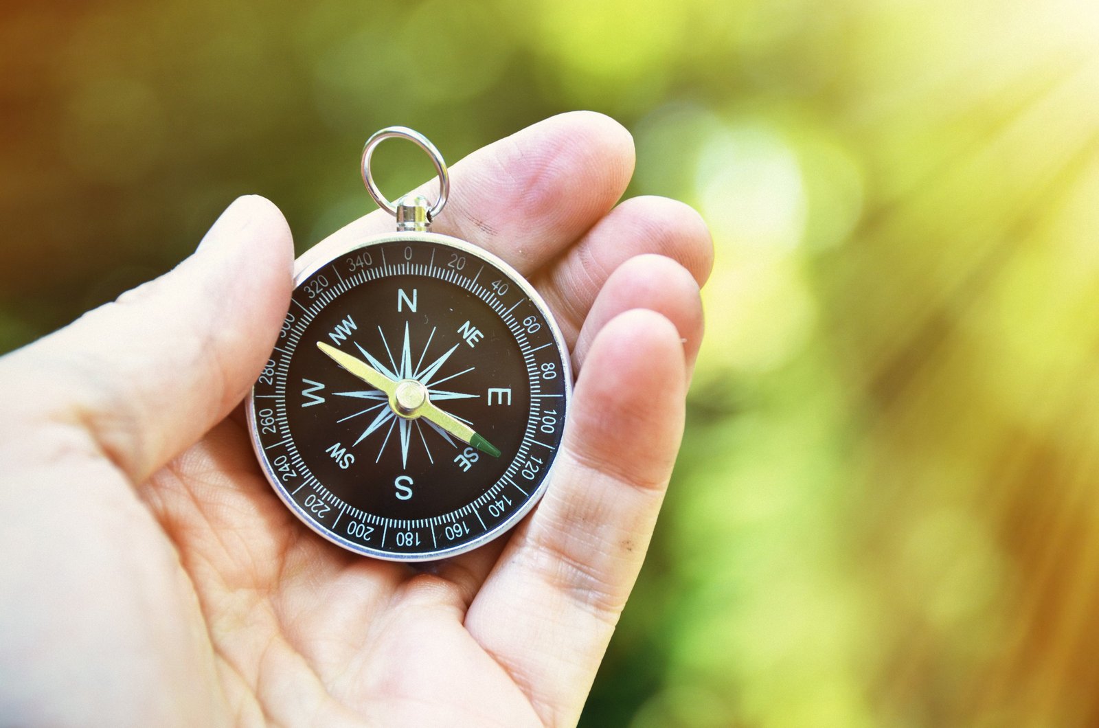 Compass,In,The,Hand | Sharon Lock – PSYCH-K Instructor